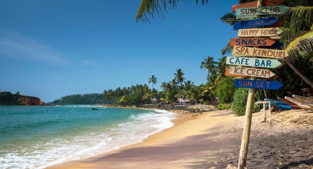 Mirissa – Whale Watching Meets Vibrant Nightlife – Share Traveller
